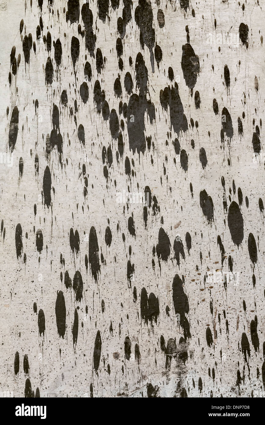 Paint splatter wall hi-res stock photography and images - Alamy