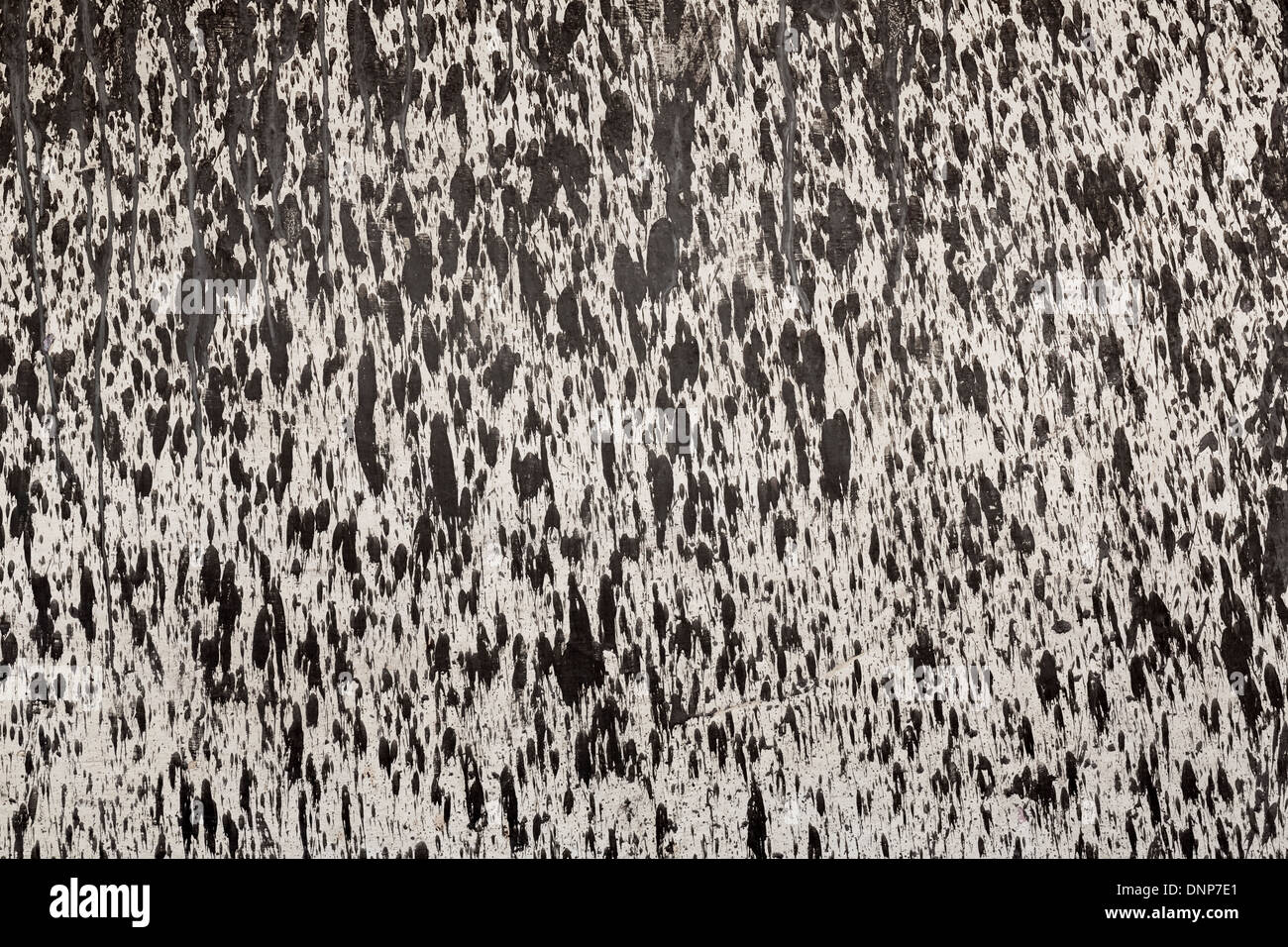 India, Rajasthan, Jaipur, paint, drip, plaster wall Stock Photo - Alamy