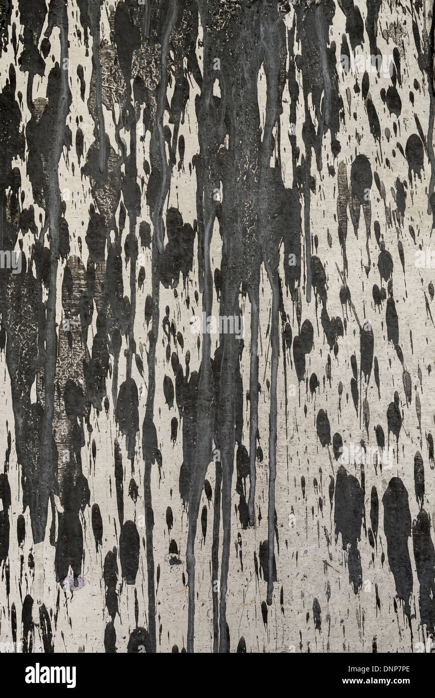 India, Rajasthan, Jaipur, paint, drip, plaster wall Stock Photo - Alamy