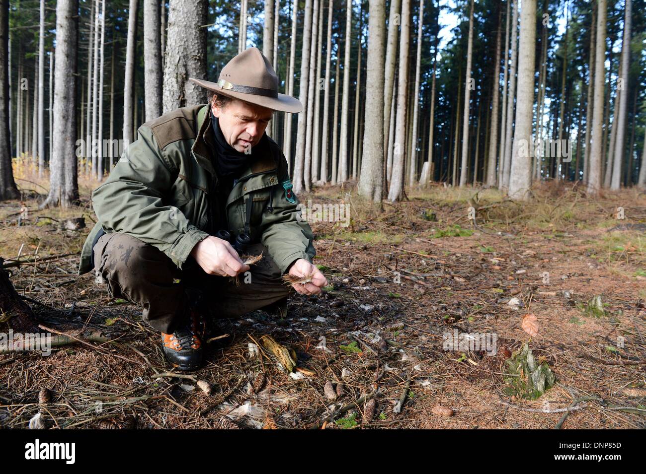 National park ranger Wolfgang Friedersdorf at his work in the national ...