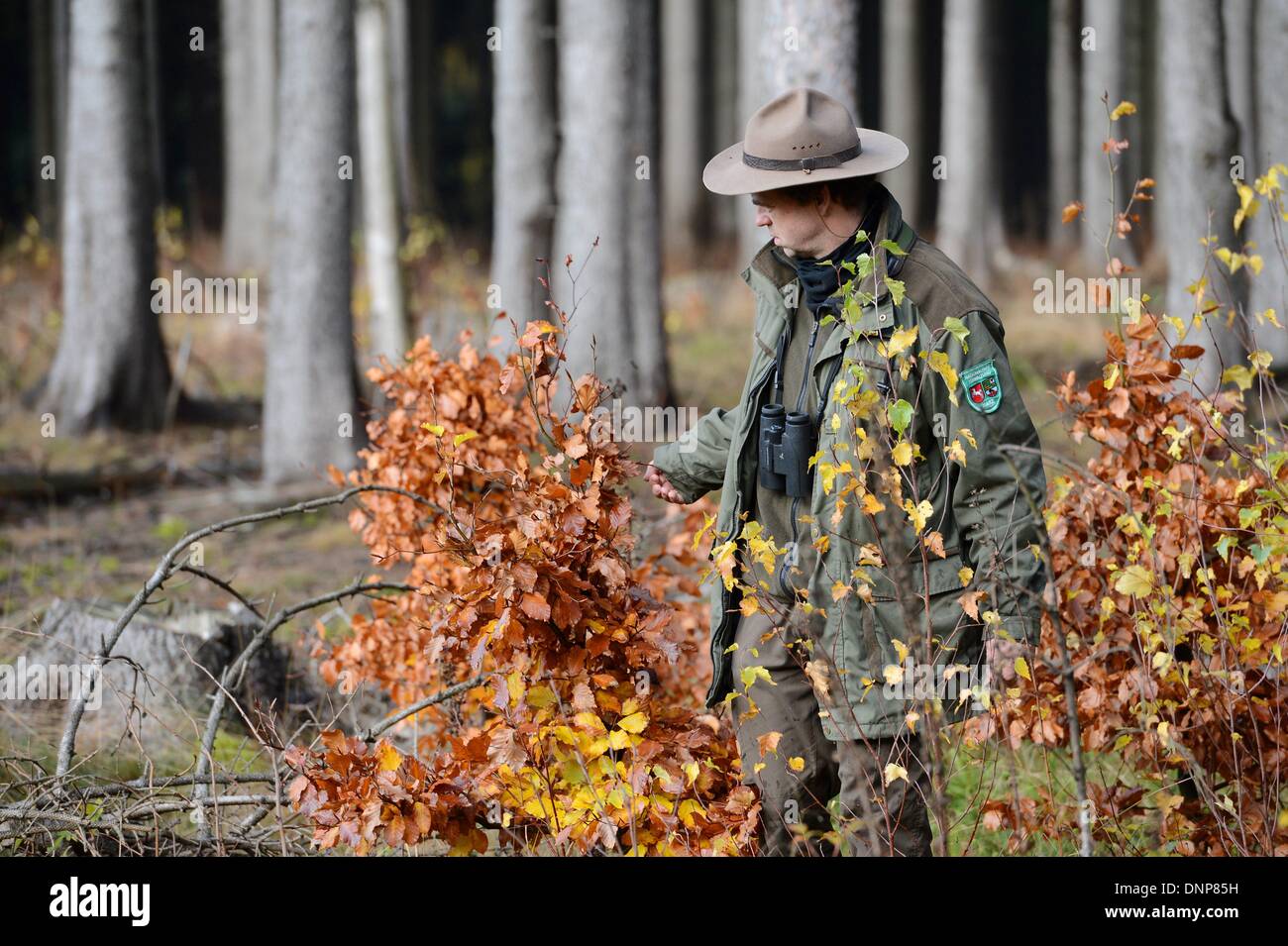 Park Ranger Uniform Forest Stock Photos & Park Ranger Uniform Forest ...