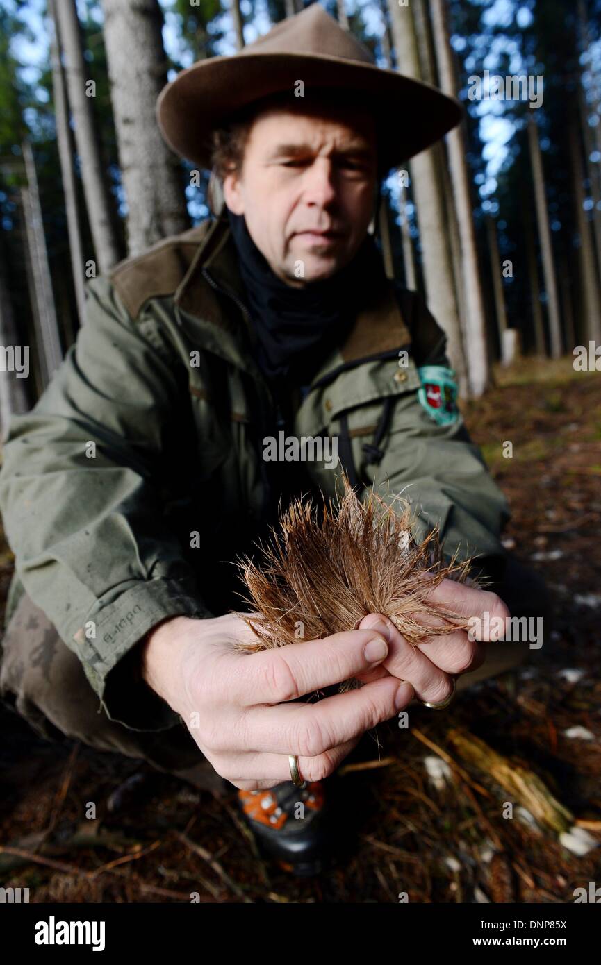 National park ranger Wolfgang Friedersdorf at his work in the national ...