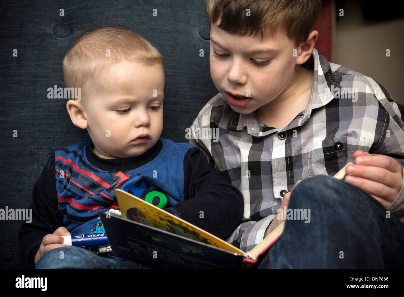 brothers reading,book, boys, brothers, building, caucasian, cheerful ...