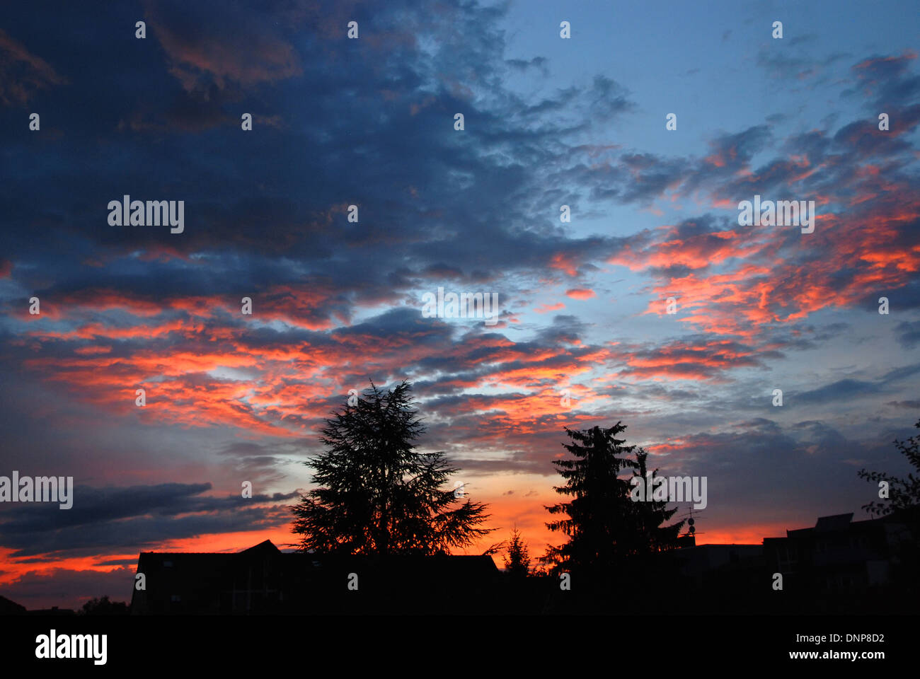 Sunset sky over some silhouetted trees Stock Photo - Alamy