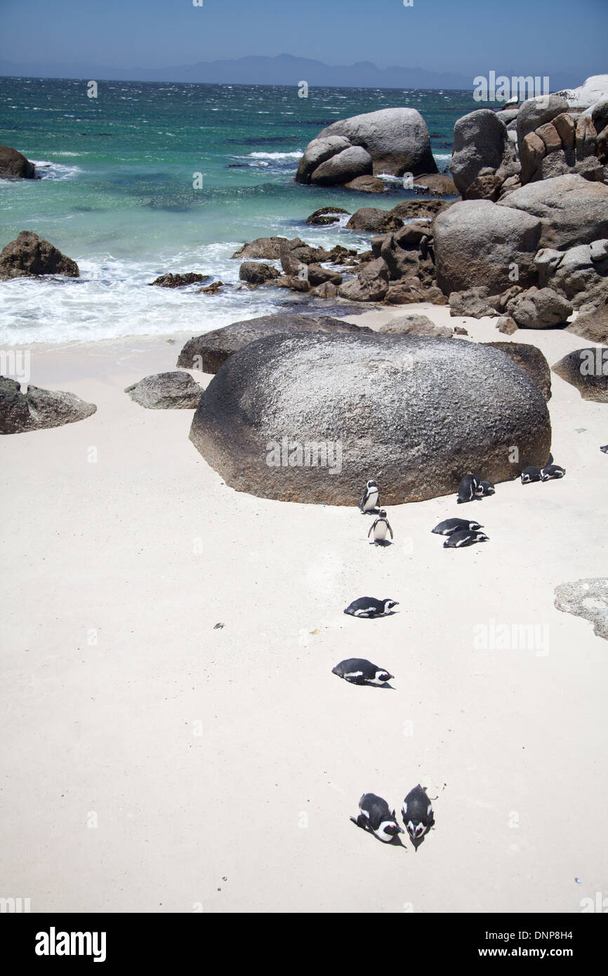 Town beach reserve hi-res stock photography and images - Alamy