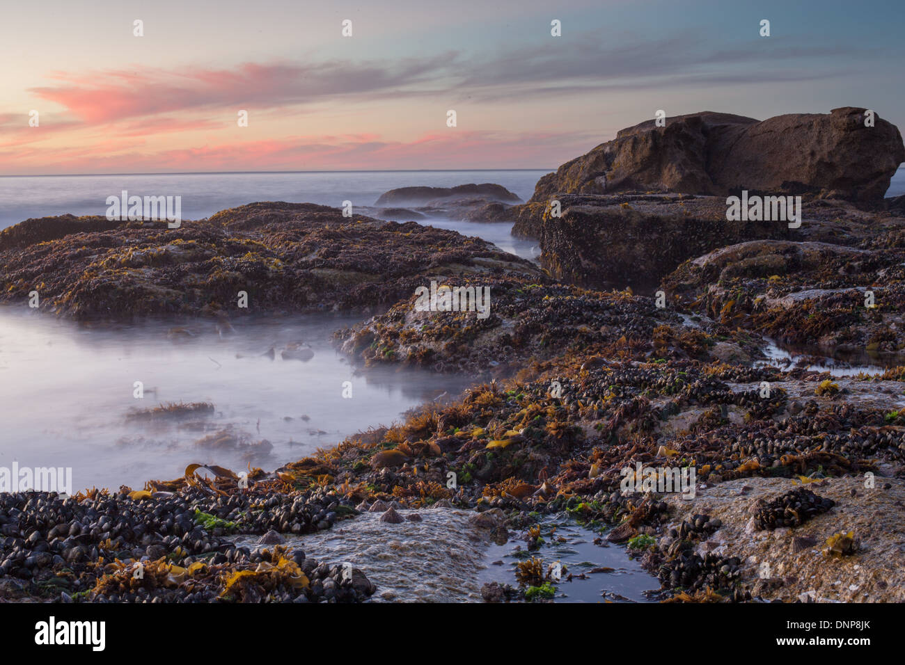 Africa pink sunset hi-res stock photography and images - Alamy