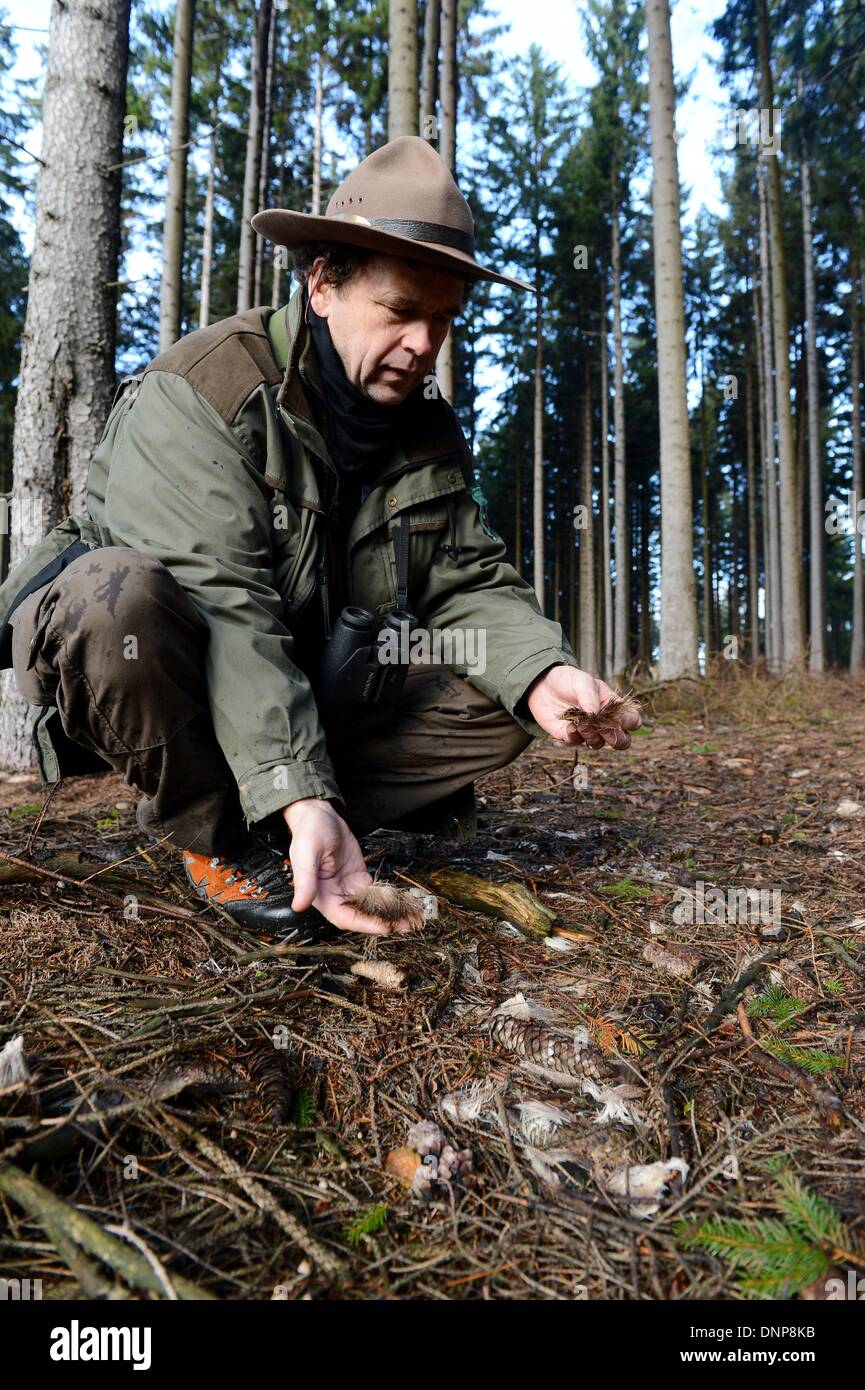 National park ranger Wolfgang Friedersdorf at his work in the national ...