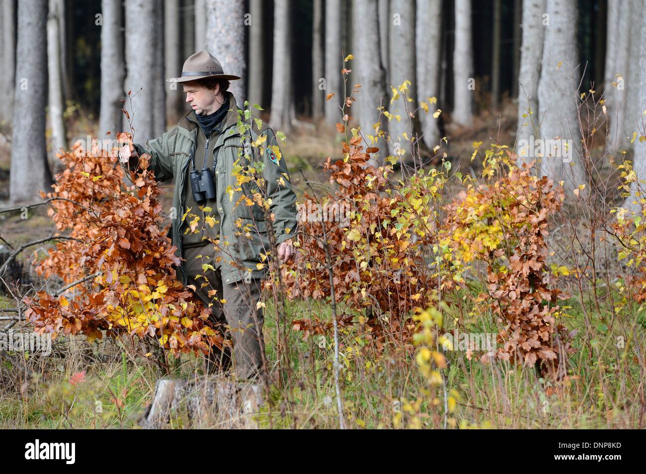 National park ranger Wolfgang Friedersdorf at his work in the national ...
