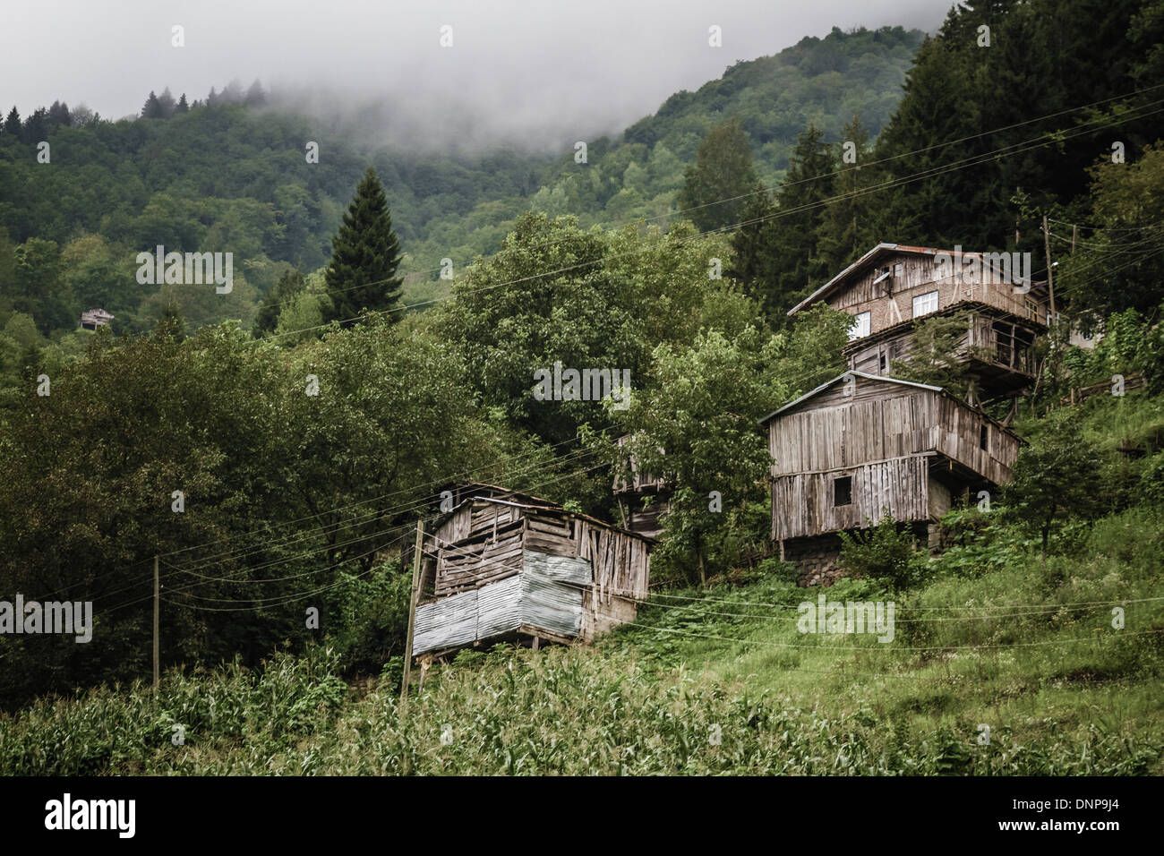 View of wooden huts and house near a corn field Stock Photo - Alamy