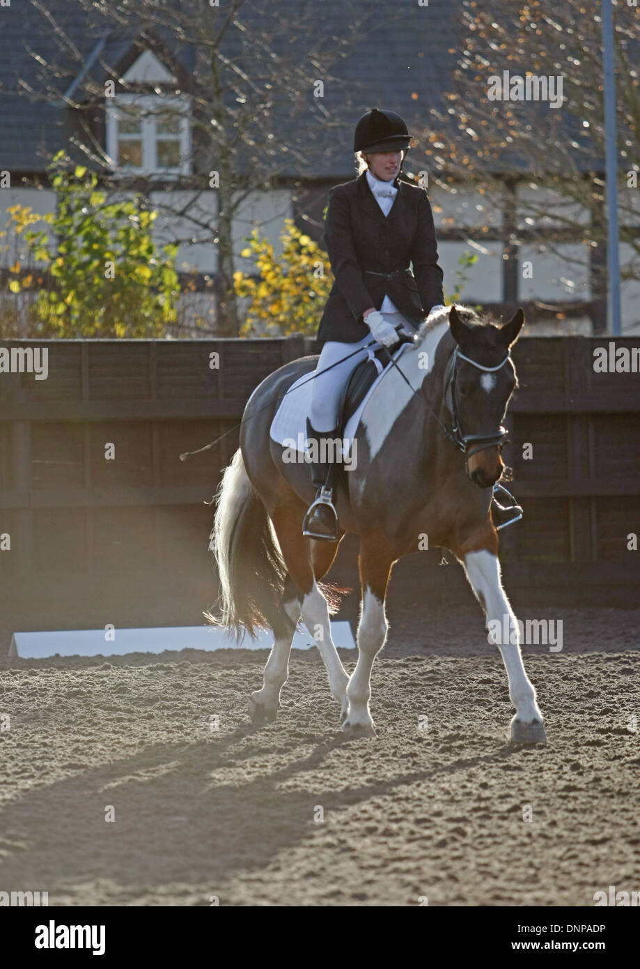 Horse and rider riding around an arena taking part in a dressage ...