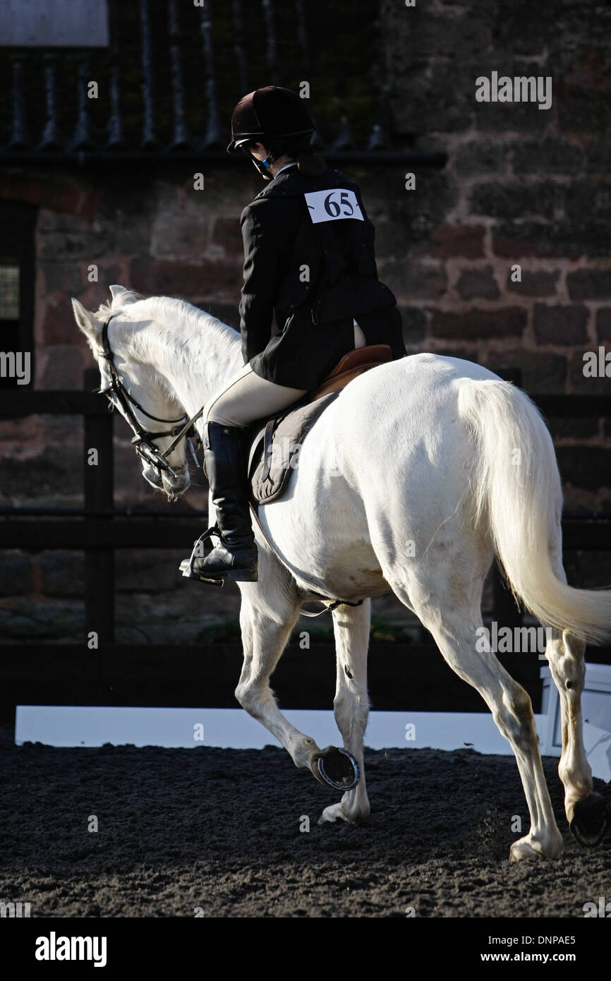 Equestrian horse lady dressage hi-res stock photography and images - Alamy
