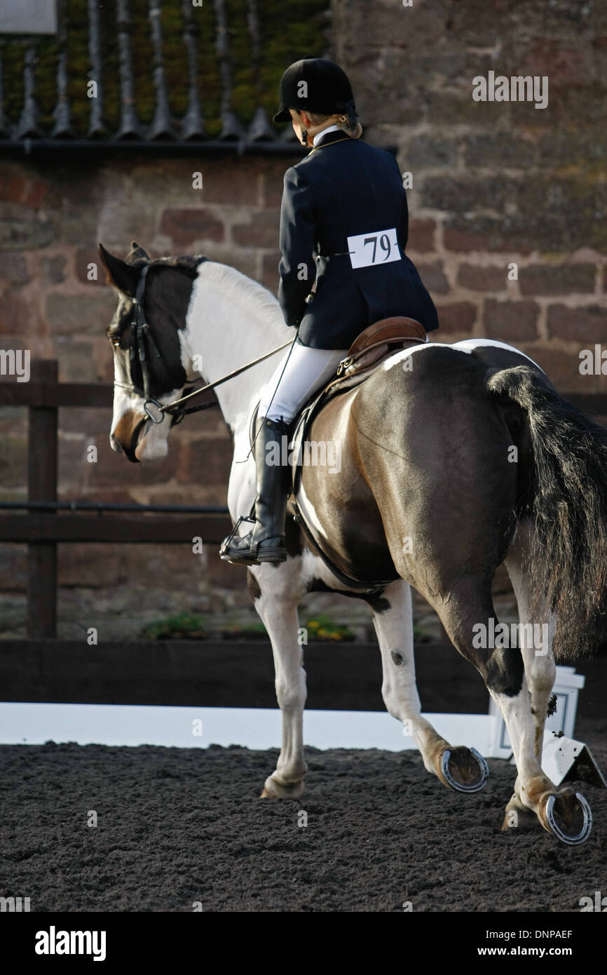 Dressage arena hi-res stock photography and images - Alamy