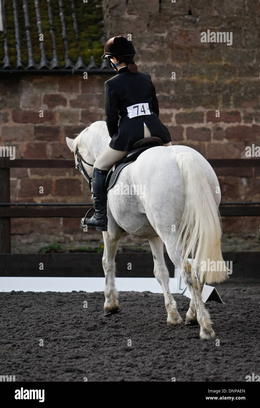 Horse and rider riding around an arena taking part in a dressage ...