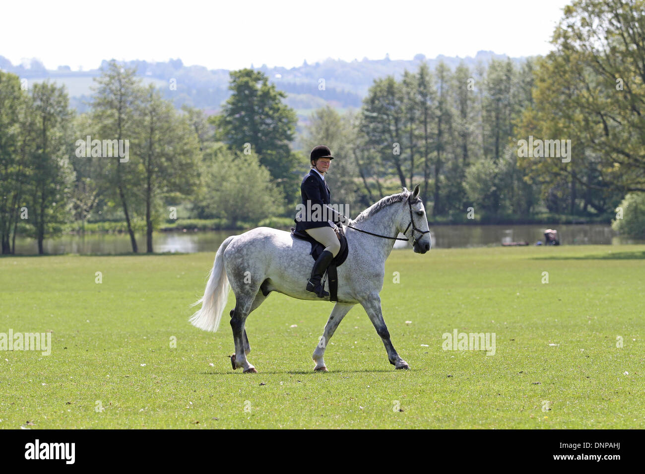 Horse dressage walk hi-res stock photography and images - Alamy