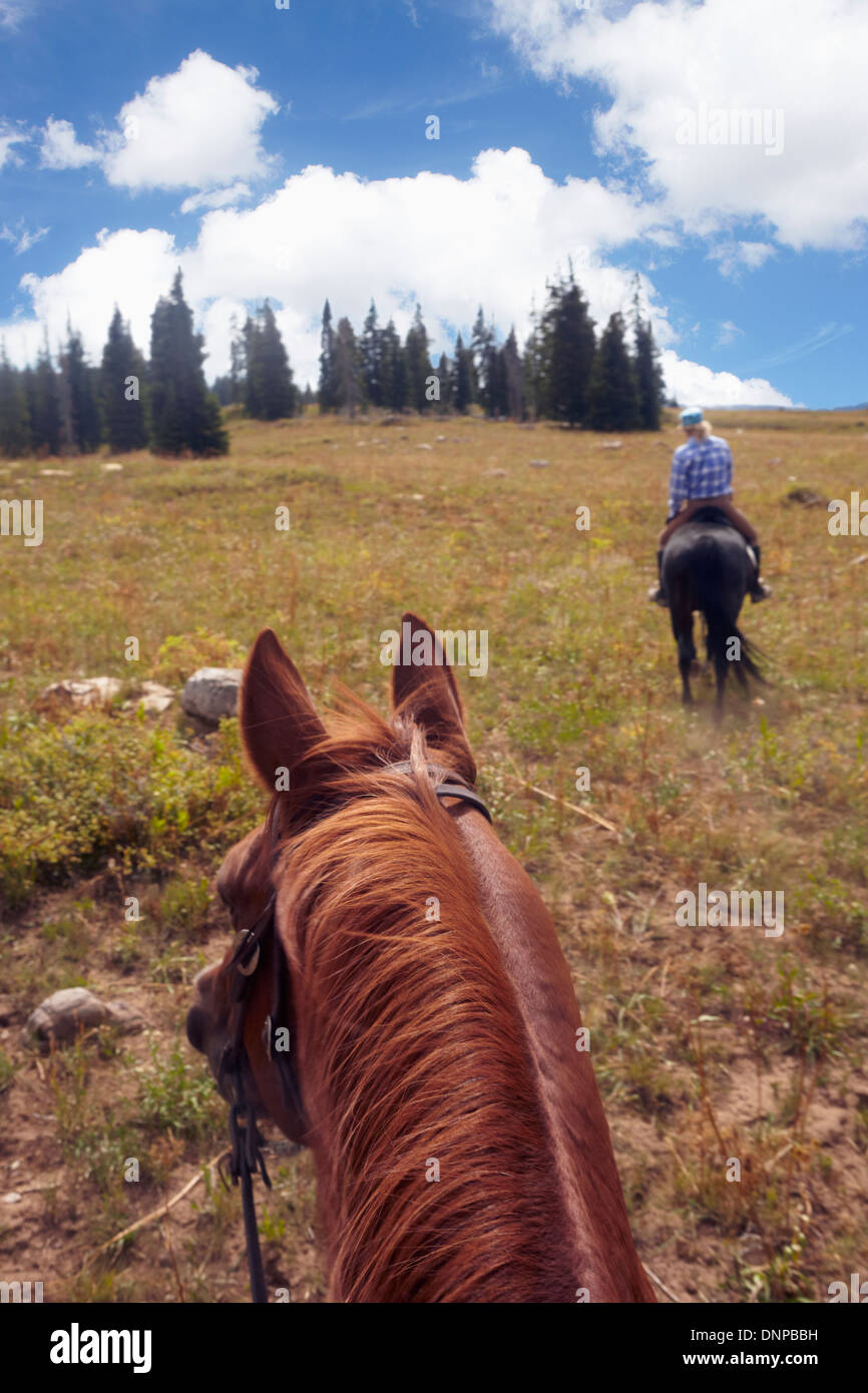 Woman riding horse mature hi-res stock photography and images - Alamy