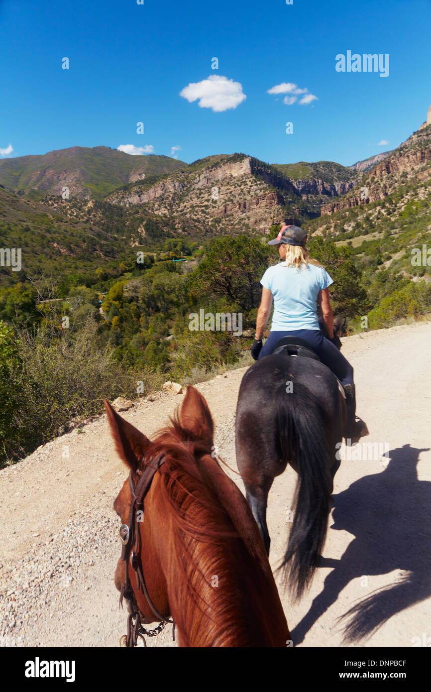 Mature woman riding horse hi-res stock photography and images - Alamy