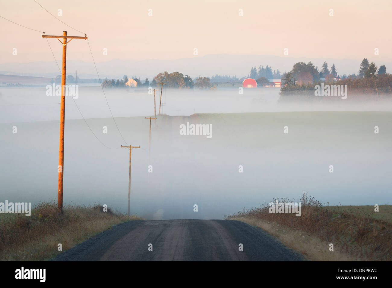 Fog over road hi-res stock photography and images - Alamy