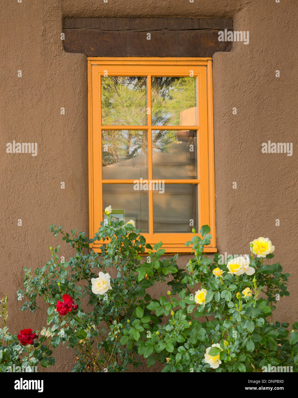 USA, New Mexico, Santa Fe, Window with roses Stock Photo - Alamy
