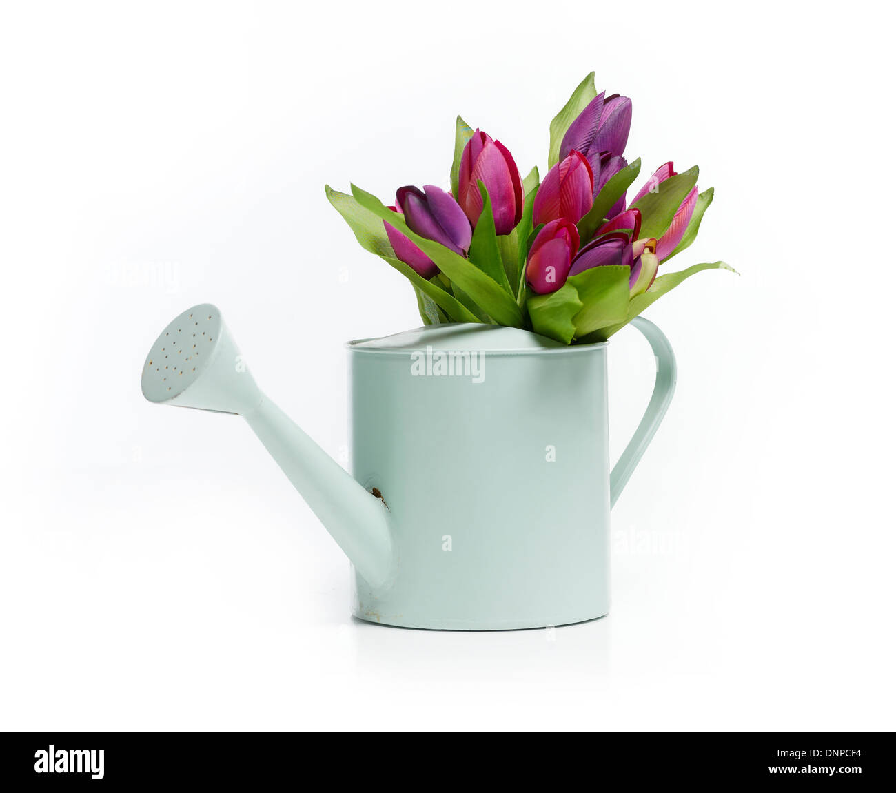 Watering can with flowers Stock Photo - Alamy