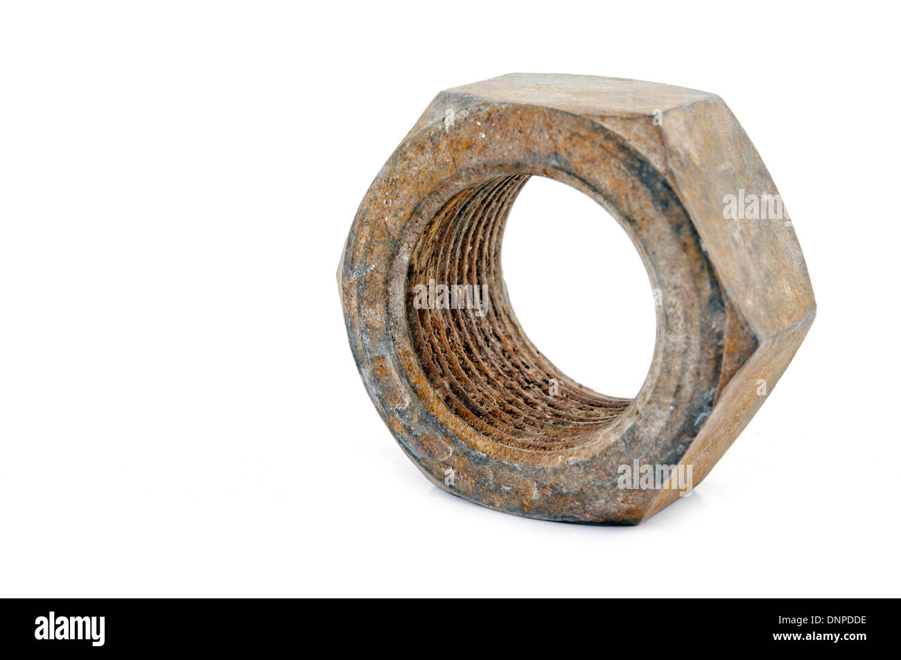 Oval nuts hi-res stock photography and images - Alamy