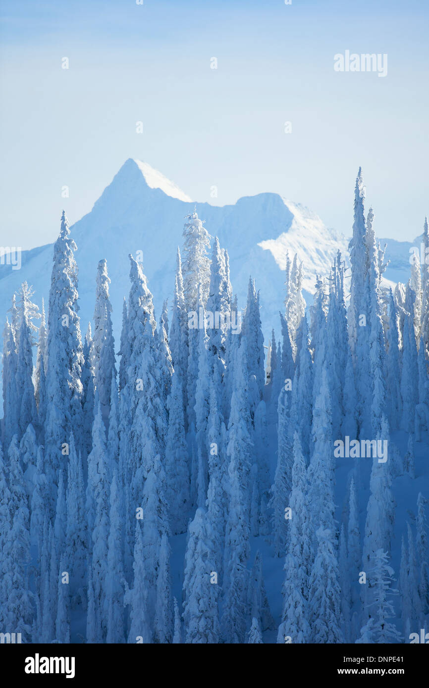 Glacier covering top hi-res stock photography and images - Alamy