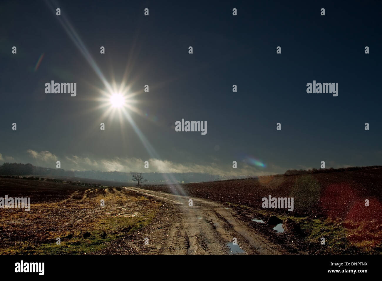 farm track in sunshine Stock Photo - Alamy