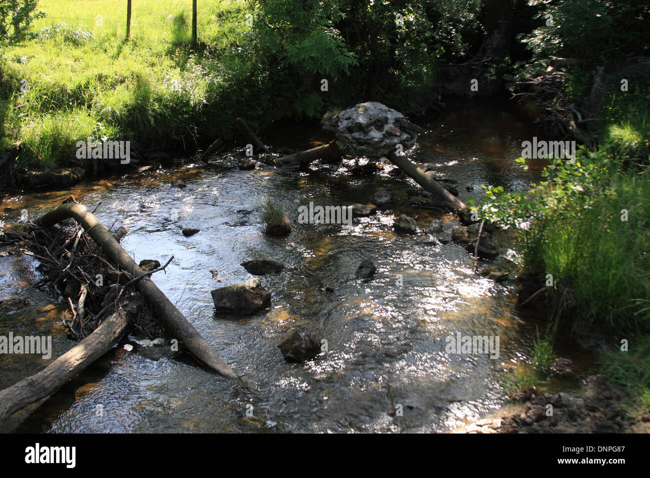 Levisham Village, North Yorkshire Stock Photo - Alamy