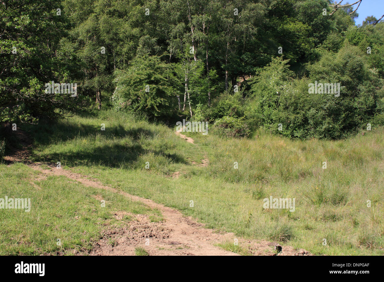 Levisham Village, North Yorkshire Stock Photo - Alamy
