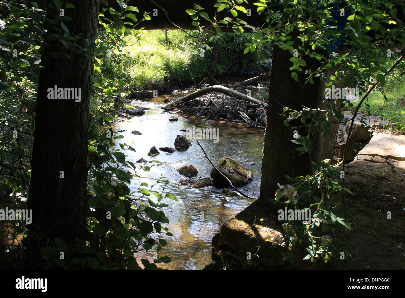 Levisham Village, North Yorkshire Stock Photo - Alamy