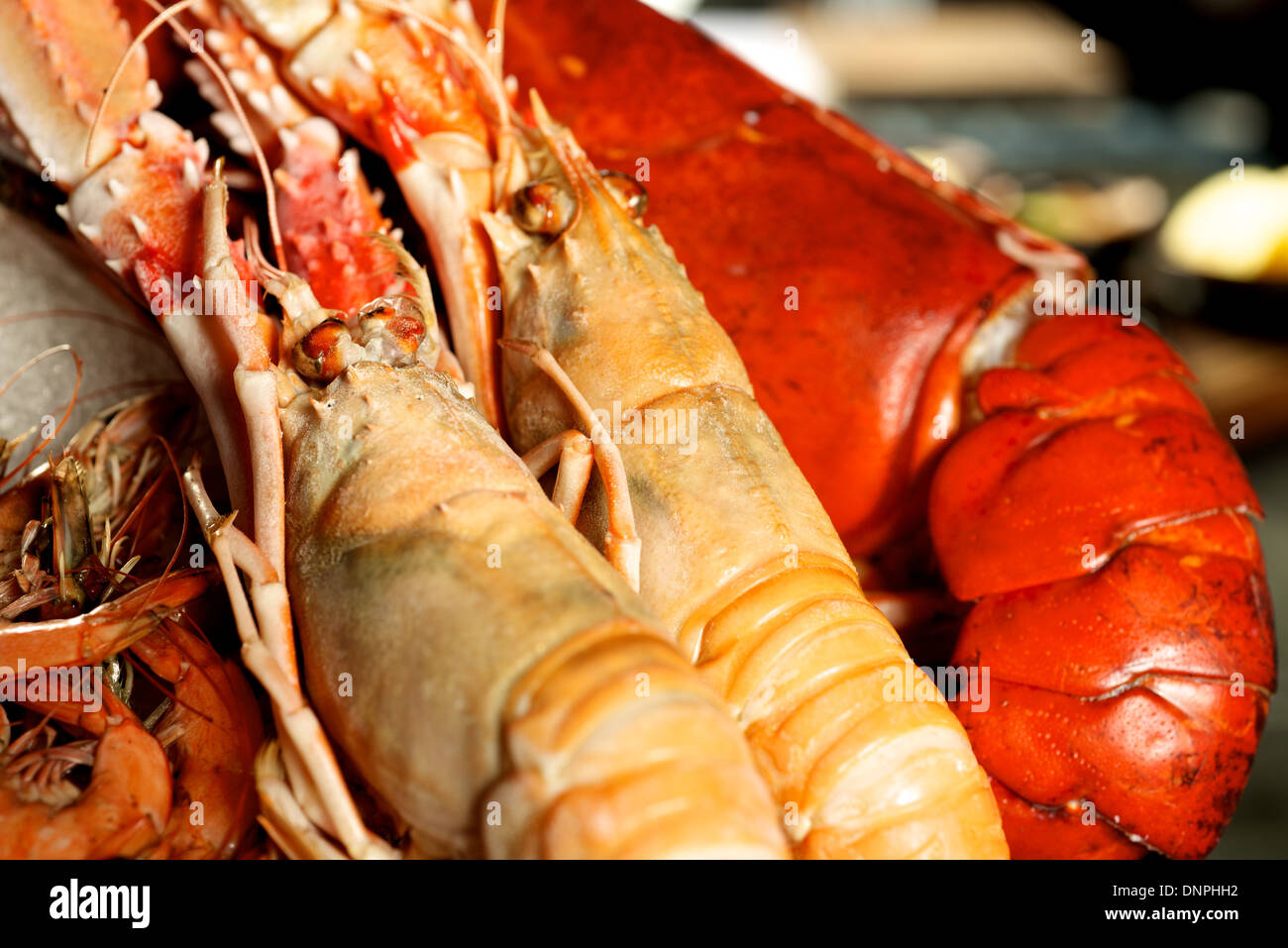 Giant red Lobsters close ups Stock Photo - Alamy