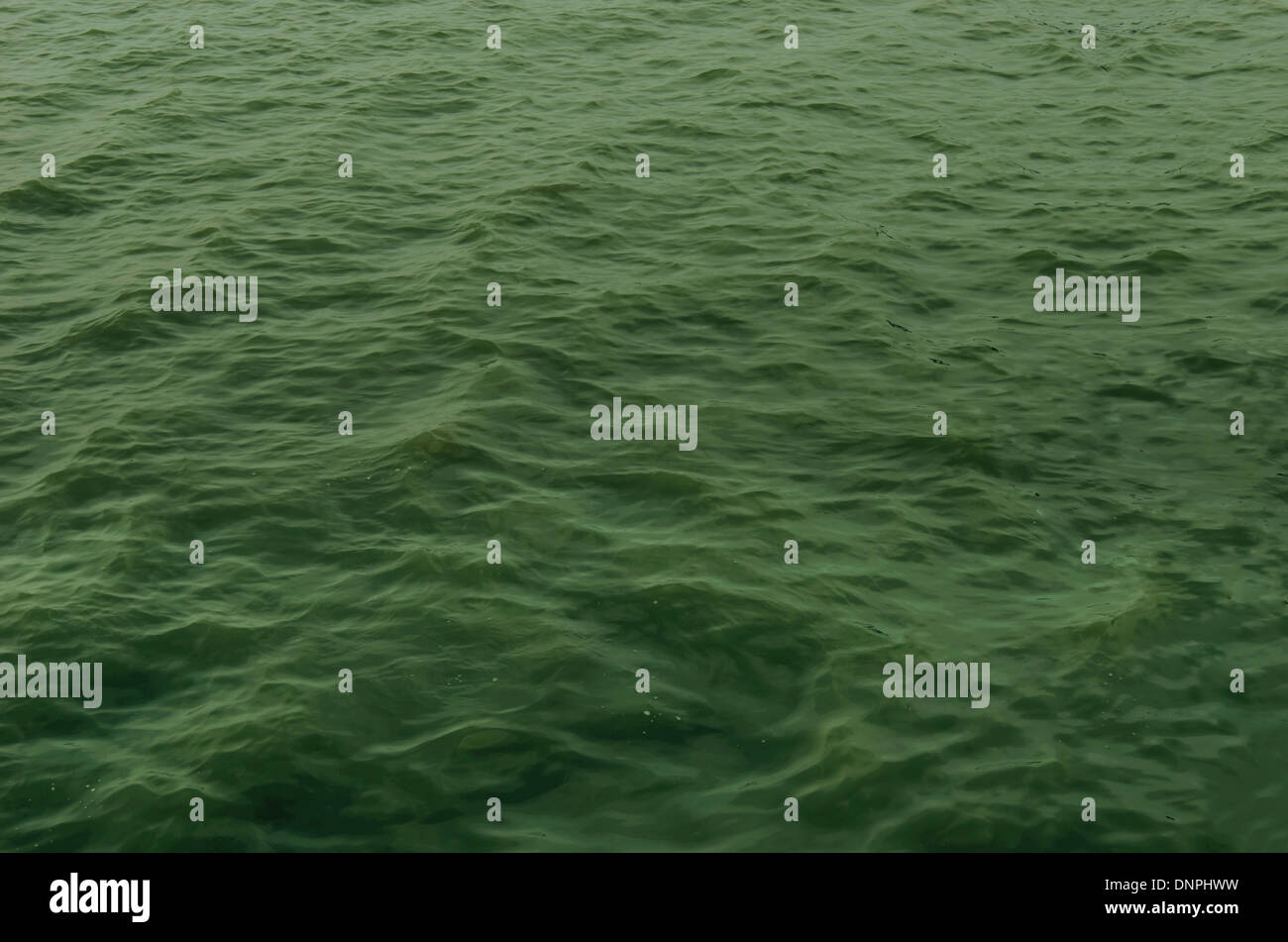 Water texture in wave hi-res stock photography and images - Alamy