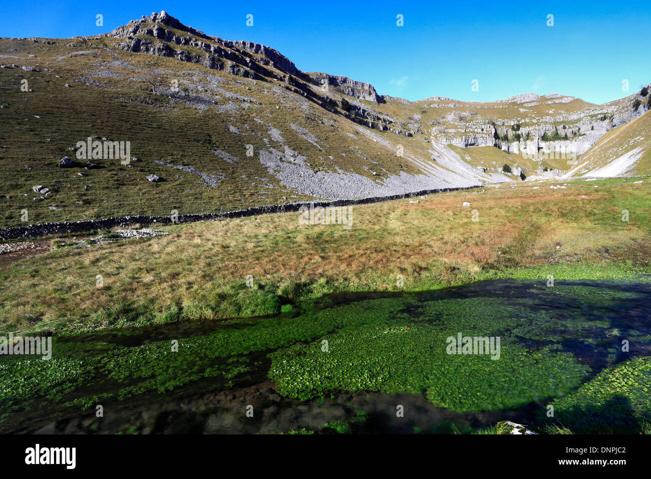 Gordale Scar limestone cliffs, Malhamdale, North Yorkshire Dales ...