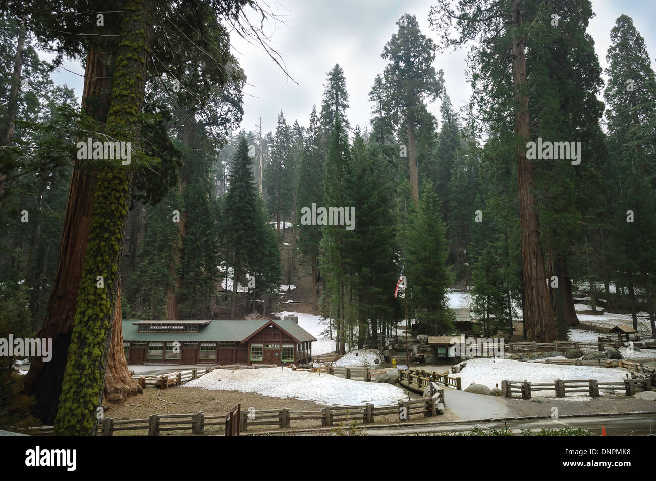 Giant Forest Museum in Sequoia National Park, California, USA Stock ...