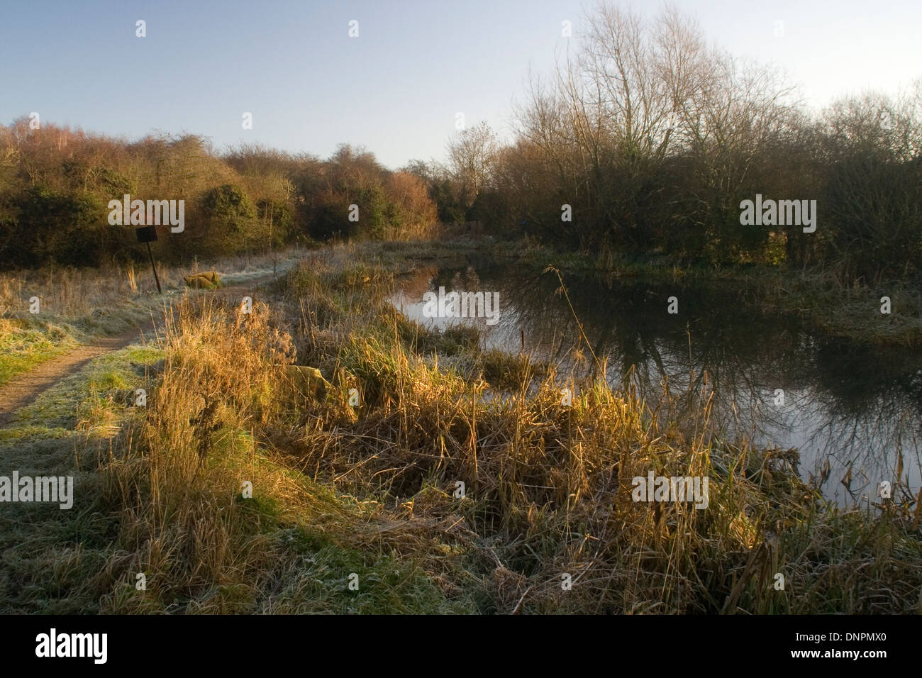 Shire brook valley nature reserve hi-res stock photography and images ...