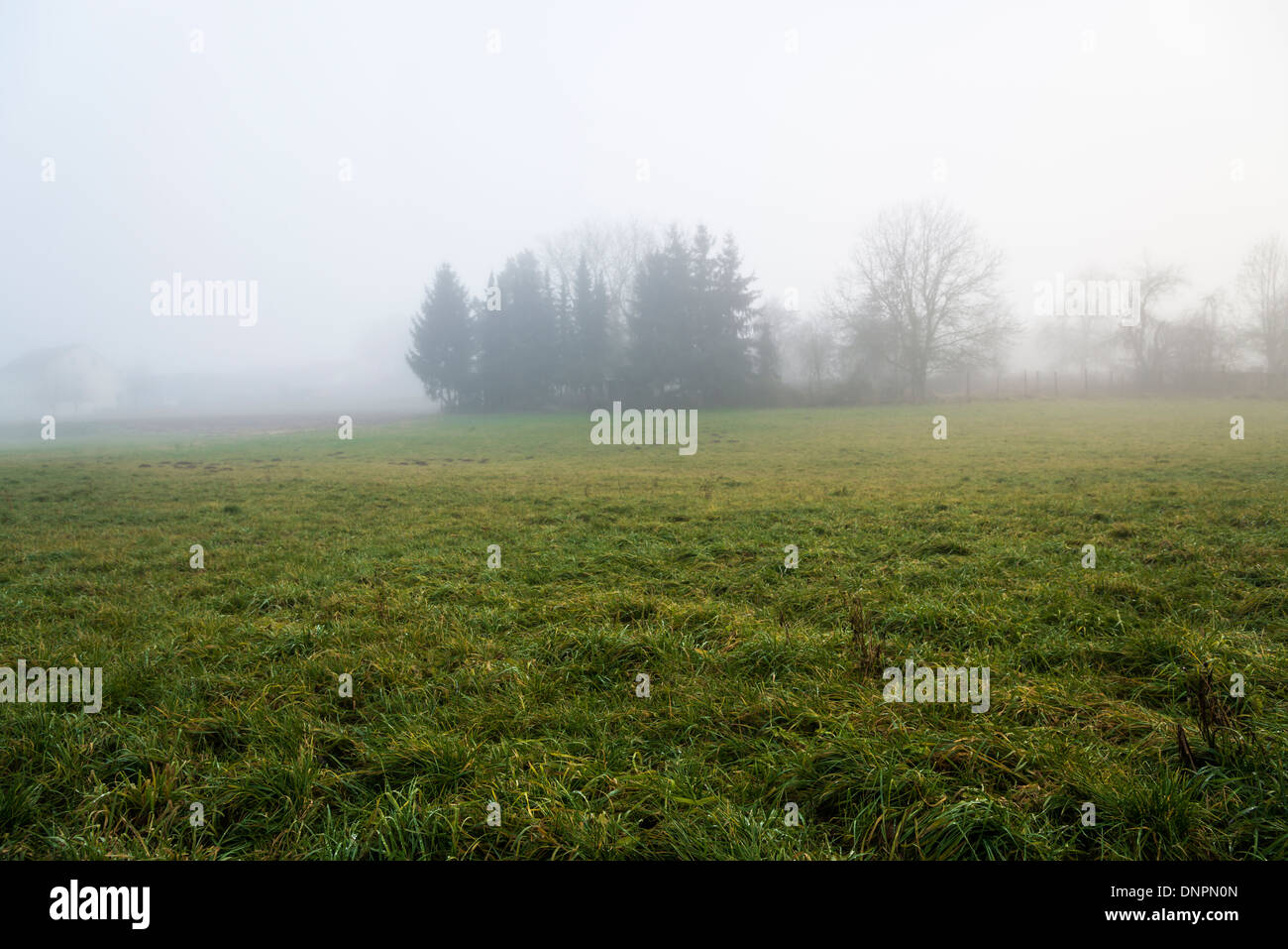 Landscape with fog Stock Photo - Alamy
