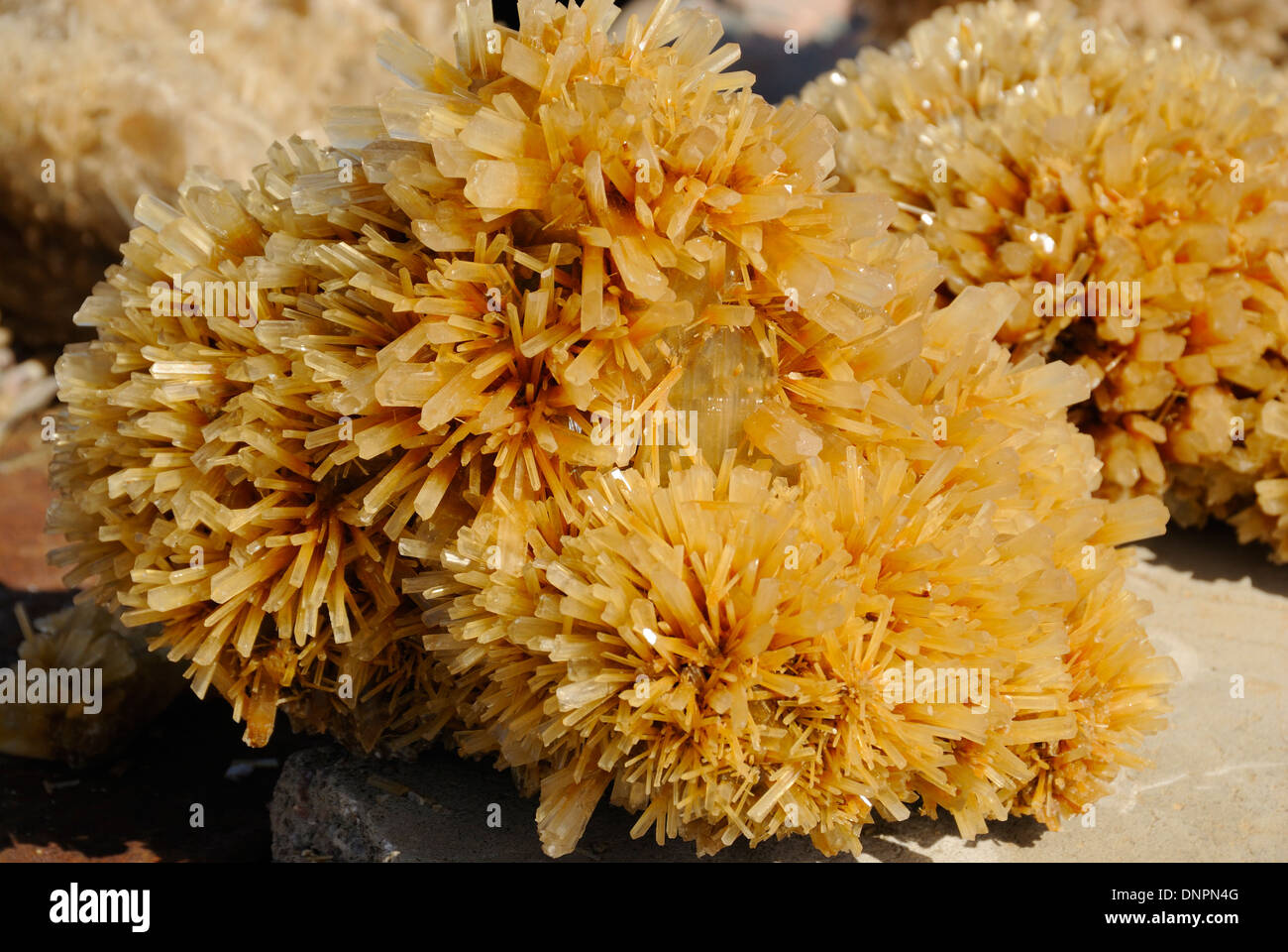 Salt flower sold in a shop on the shores of Lake Assal, Djibouti Stock ...