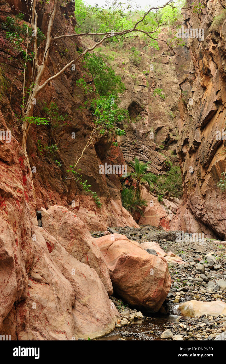 Small canyon the Day forest in Djibouti, Horn of Africa Stock Photo - Alamy
