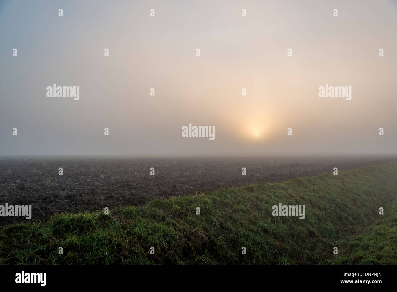 Landscape with fog Stock Photo - Alamy