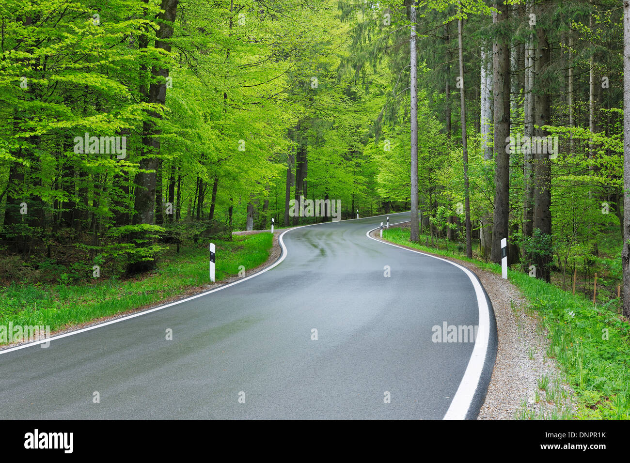 Winding road through forest hi-res stock photography and images - Alamy