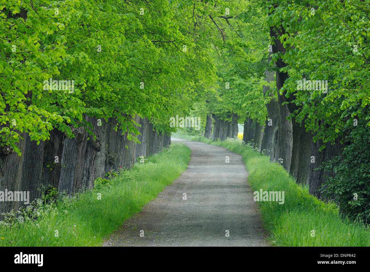 Pretty bavarian street hi-res stock photography and images - Alamy