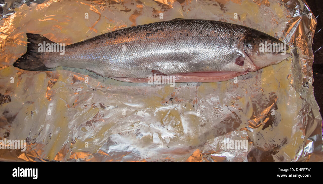 Salmon prepared for poaching in buttered tin foil wrapping Stock Photo ...
