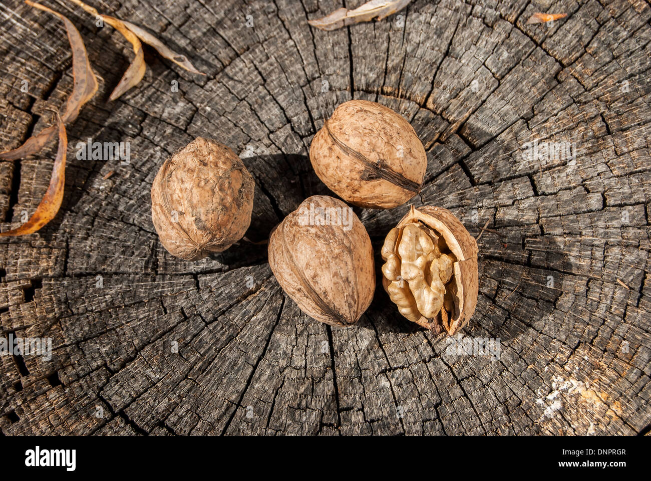 Whole and broken fresh walnuts Stock Photo - Alamy
