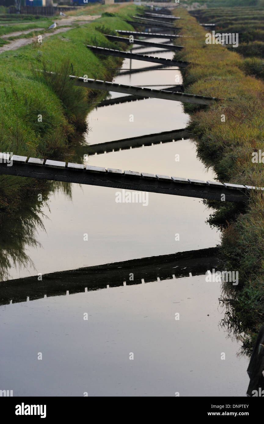 Water channel to fill the claires freshwater pool in Charente-Maritime ...