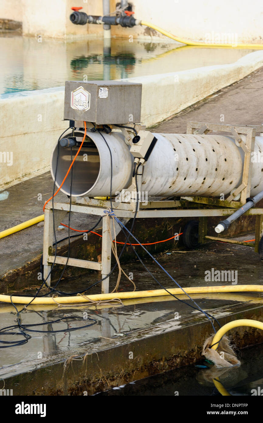 Oyster machine hi-res stock photography and images - Alamy
