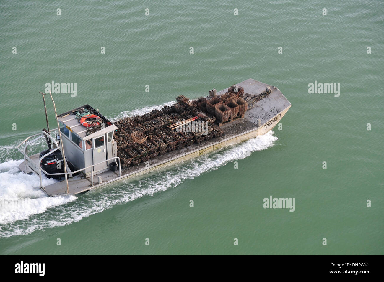 Oyster farming oyster barge hi-res stock photography and images - Alamy