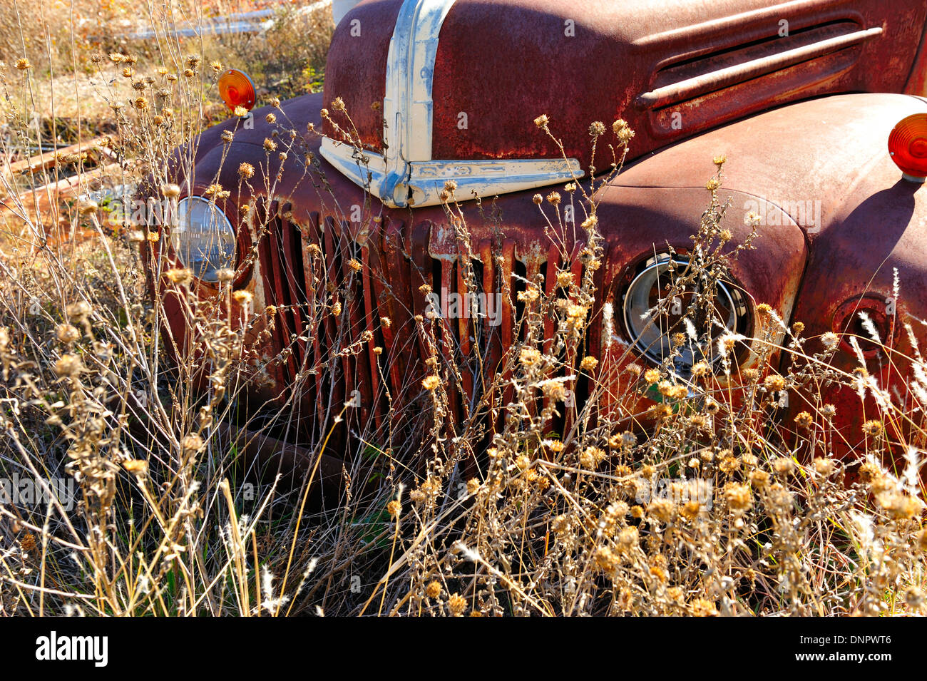 Rusty cars hi-res stock photography and images - Alamy