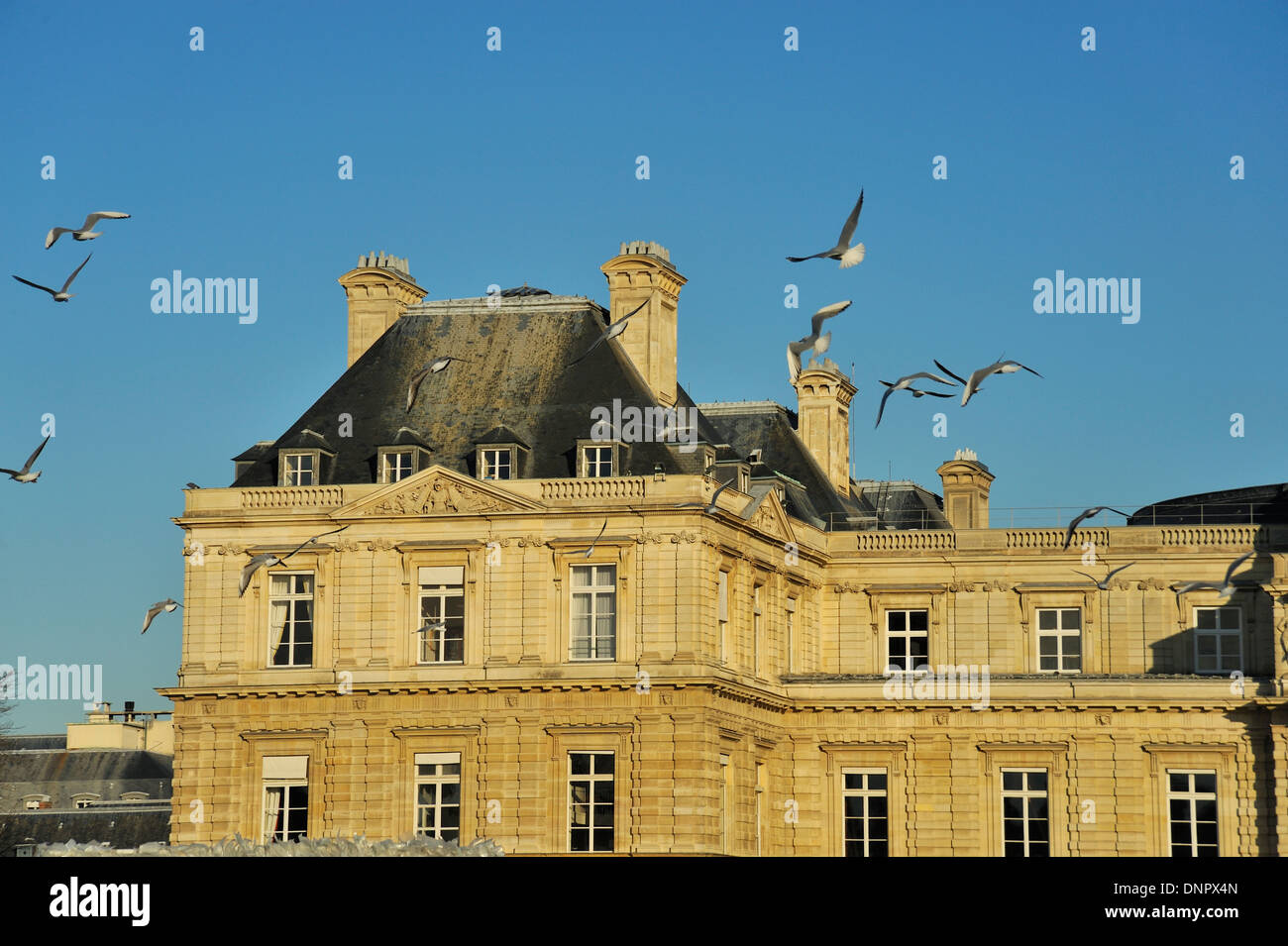 The Luxembourg Palace, seat of the French Senate, Paris, France Stock ...