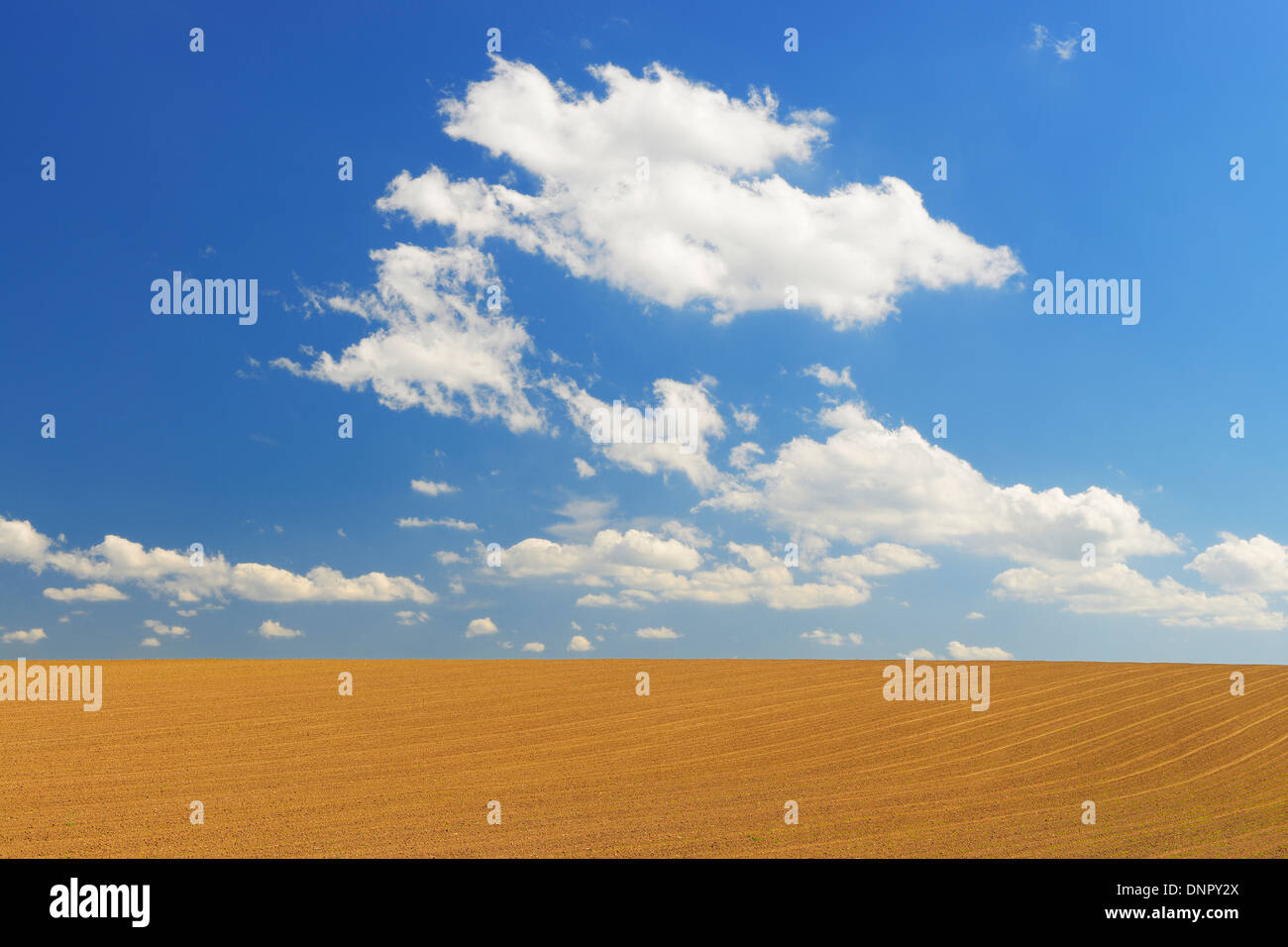 Large open field cloudy hi-res stock photography and images - Alamy