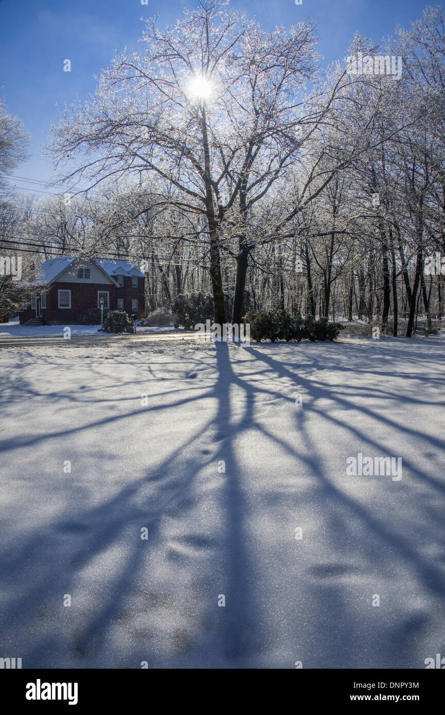 Tree shadow hi-res stock photography and images - Alamy