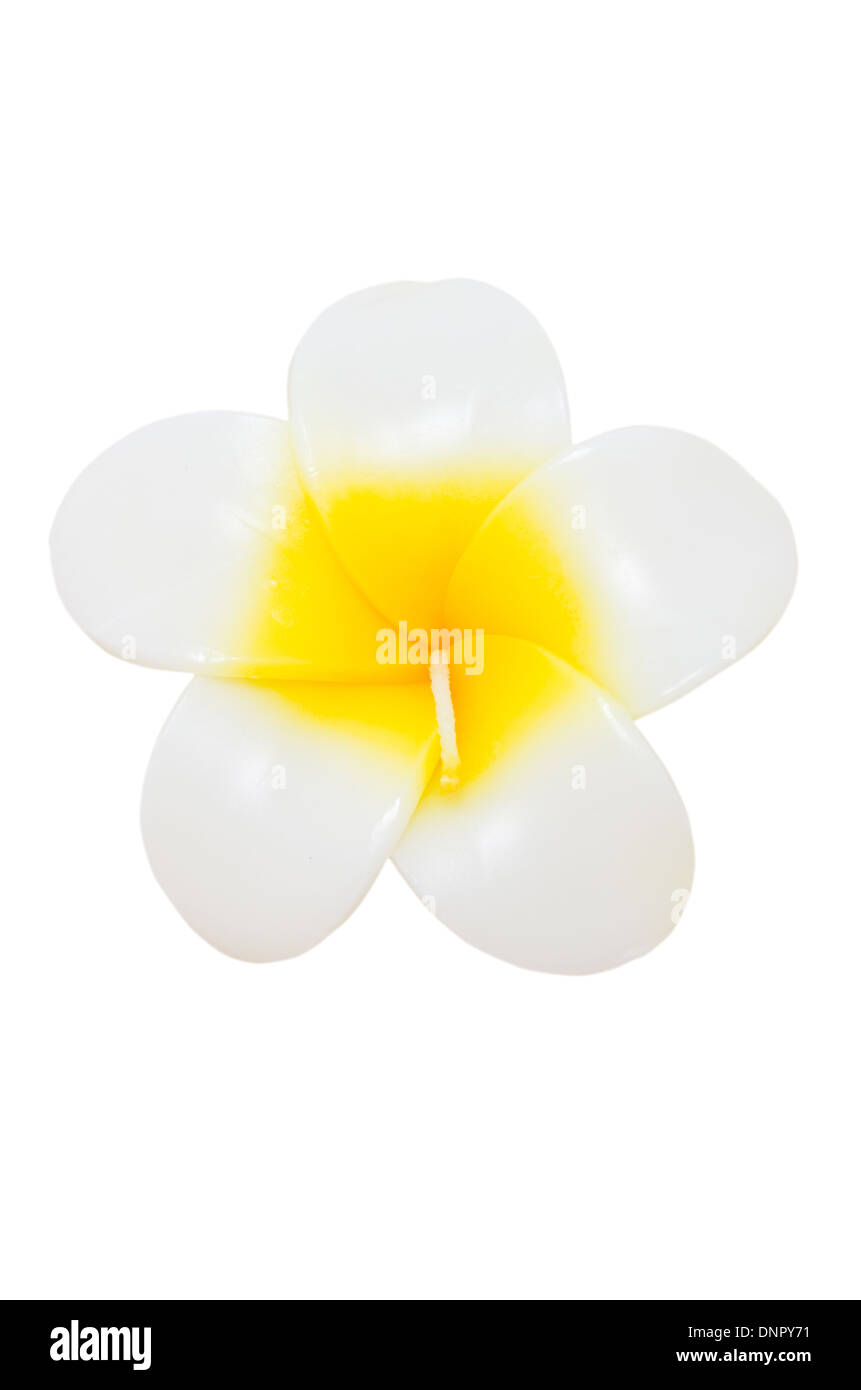 Beautiful candle flower on Cut Out Stock Images & Pictures - Alamy